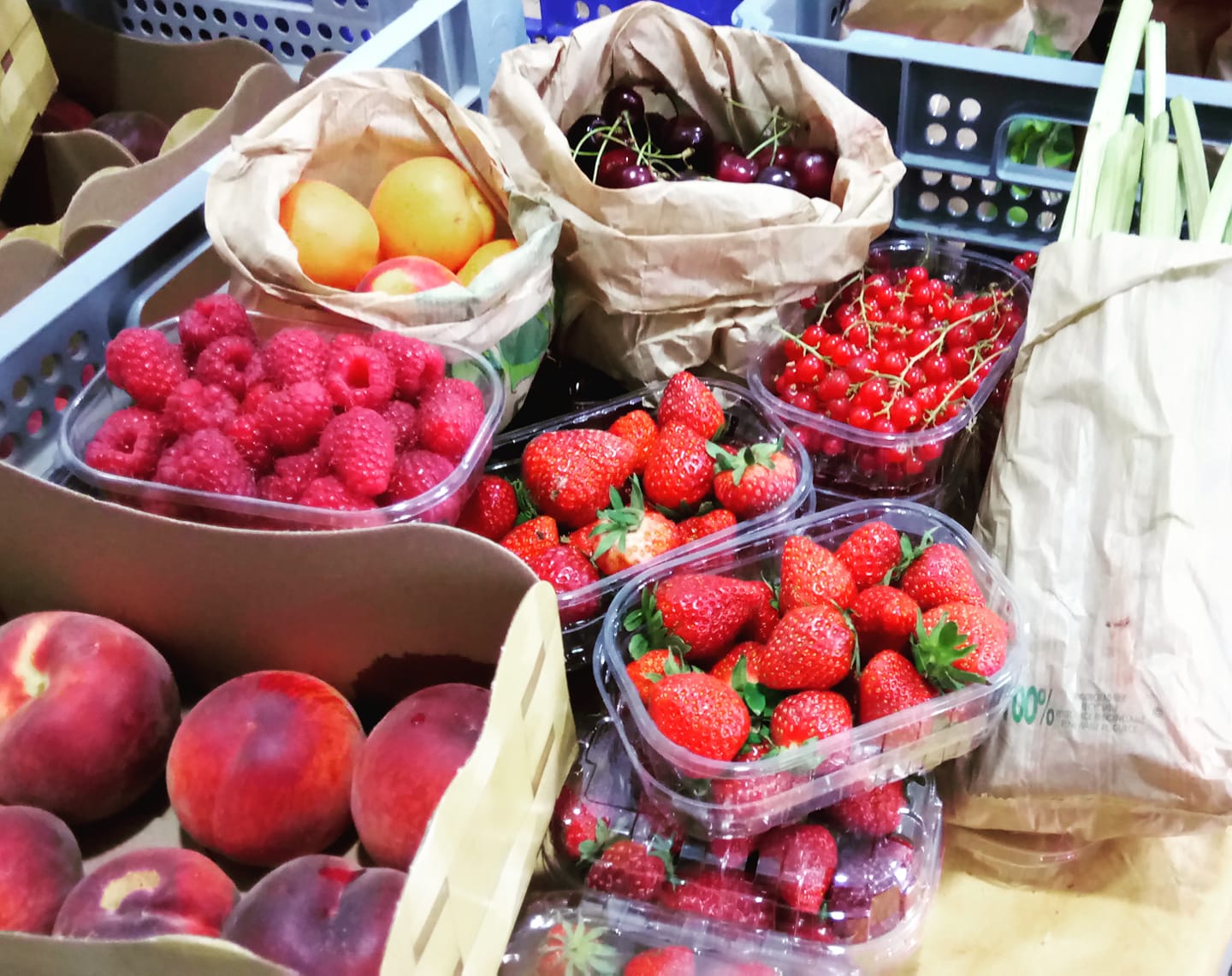 Alter Conso : Organic, local and fair food baskets | Food Ideas