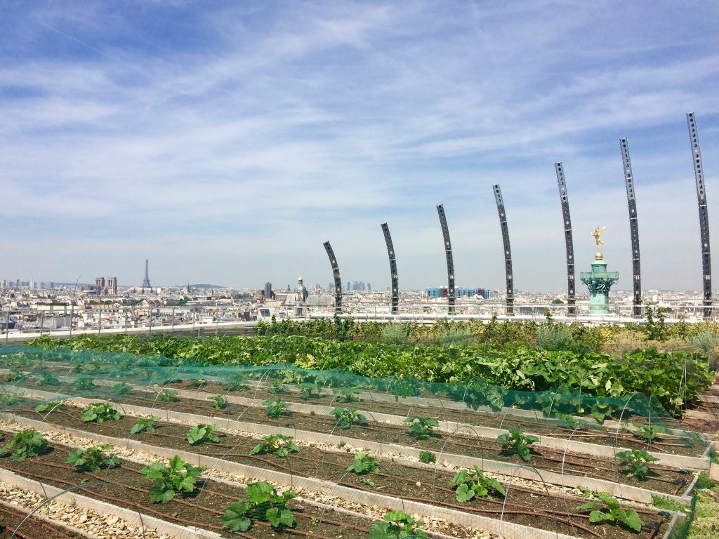 Topager : installer des potagers sur les toits | Food Ideas
