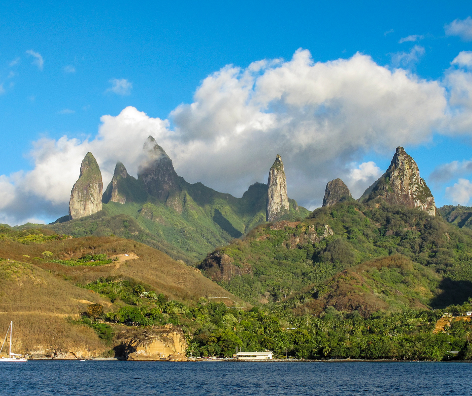 Le Système Participatif de Garantie Bio FETIA | Food Ideas
