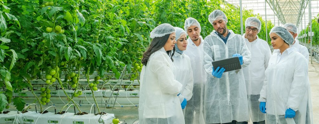 JEPA - Amman Fruit and Vegetable Exporters and Producers Association ...